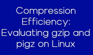 Compression Efficiency: Evaluating gzip and pigz on Linux | ServerNet Blog
