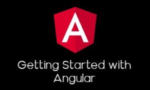 Getting Started with Angular: A Step-by-Step Installation Guide | ServerNet Blog