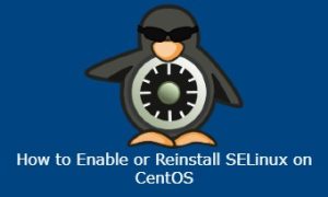 How to Enable or Reinstall SELinux on CentOS | server.net - blog
