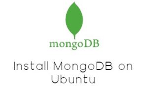 Install MongoDB On Ubuntu | Server.net - Blog