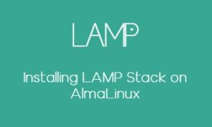 Installing Elasticsearch: A Step-by-Step Guide To Get You Started | Server.net - Blog