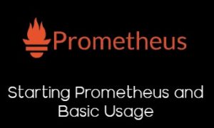 Starting Prometheus And Basic Usage | Server.net - Blog