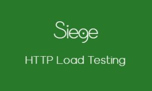 Decoding Siege: A Comprehensive Guide To HTTP Load Testing | Server.net ...